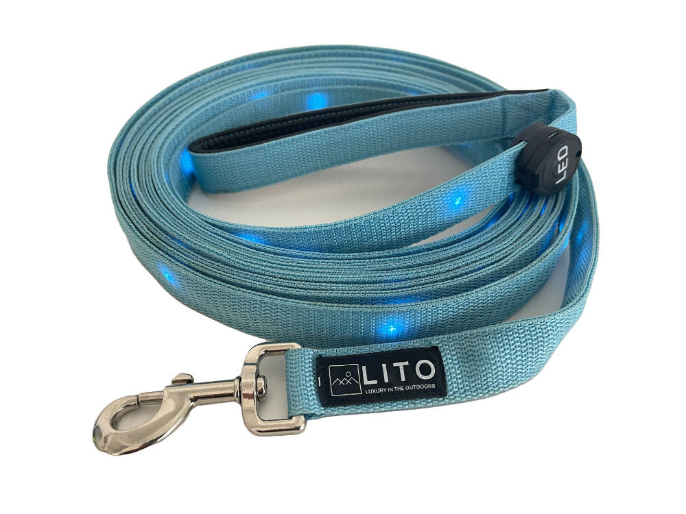 Light Up Dog Leash - Blue